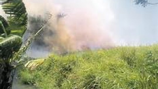St.Elizabeth Fire Fighters Battle Bush Fires | RJR News - Jamaican News ...
