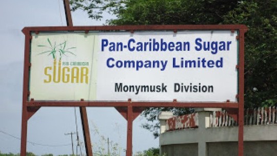 Accident At Plant In China Results In 250 Workers From Monymusk Sugar ...