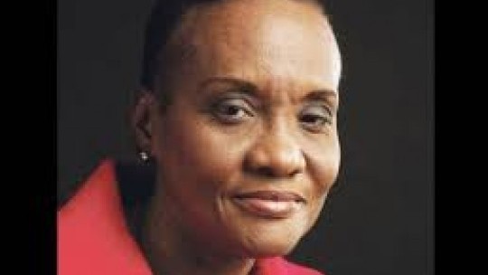 Elections Held For PNP's Regional Chairpersons | RJR News - Jamaican ...