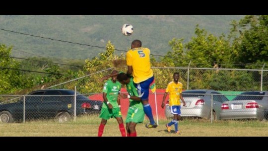 Humble Lion Blank Harbour View In RSPL | RJR News - Jamaican News Online