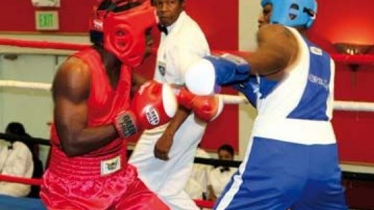 Jamaica Beat Panama In First Leg Of Amateur Boxing Series | RJR News ...