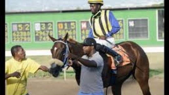 Thomas And Steadman Ride Career Milestones At Caymanas Park | RJR News ...