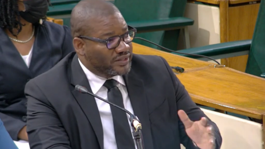 TPDCo Directed To Address Issue Of Underqualified Staff | RJR News ...