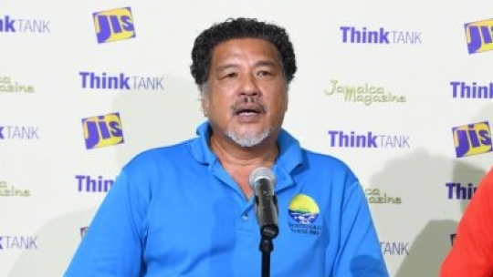 Jamaica's First Underwater Sculpture Park To Be Set Up In Montego Bay ...