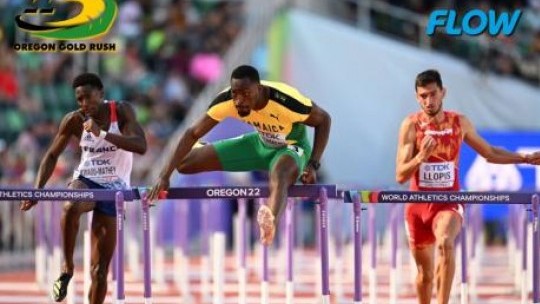 Hamstring Injury Ruins Parchment's World Champs 110m Hurdles Final ...
