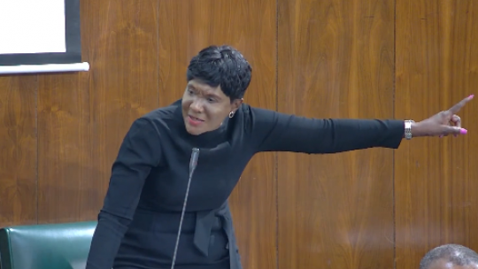 MP Calls For Clear Demarcation Of Gov't Lands To Prevent Capture | RJR ...