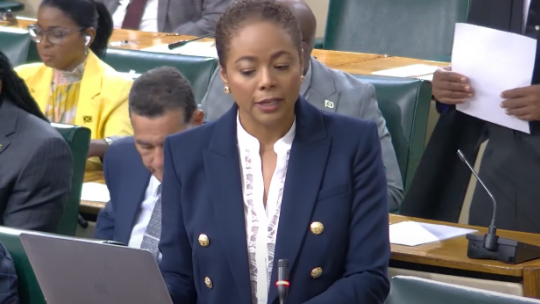 Malahoo Forte Defends Work Of Constitutional Reform Committee | RJR News - Jamaican News Online