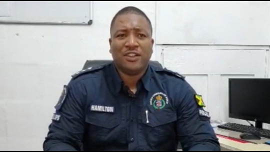 Westmoreland Police Pledge To Tackle Issue Of Stray Animals Causing ...