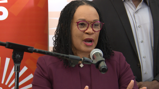 Opposition Confident None Of Its Members Among Parliamentarians Under ...