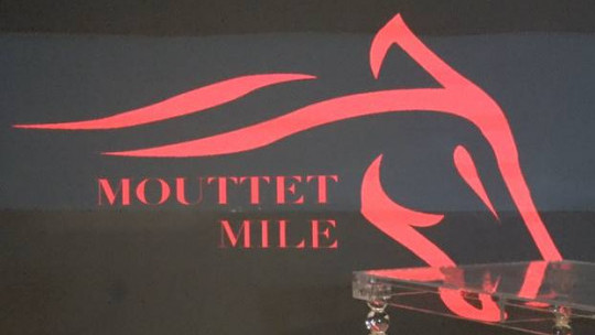 Six Overseas Entries Received For 2023 Mouttet Mile | RJR News ...