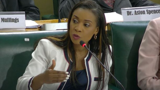 Phillips Questions Gap Between Number Of HEART Enrollees And Graduates ...