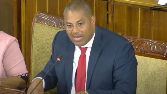 Phillips Willing To Return To Transport Sector Committee | RJR News ...