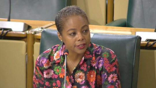 Malahoo Forte Recommends New Model For Statutory Declarations | RJR ...