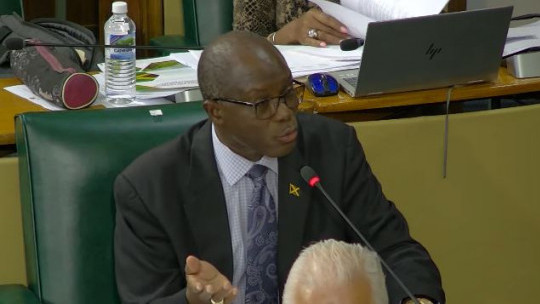 New Term Limit Proposed For IC Executive Director | RJR News - Jamaican ...