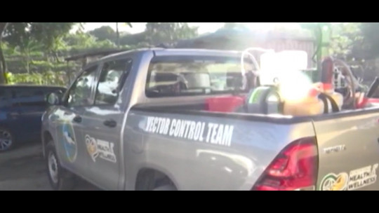 St. Ann Health Authorities Increase Vector Control Activities To Combat ...