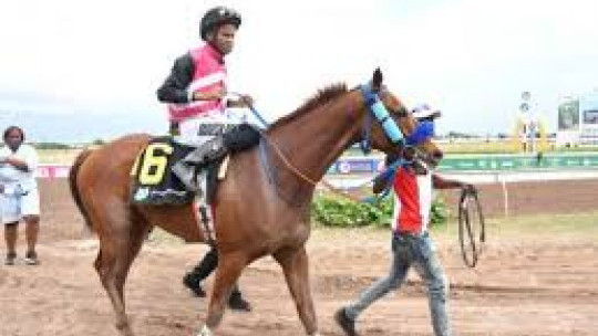 Roman Records 4-timer Including The Feature Event | RJR News - Jamaican ...