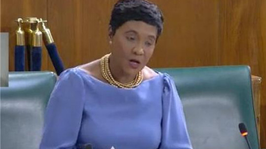 Opposition Wants More Psycho-social Help For Males | RJR News ...