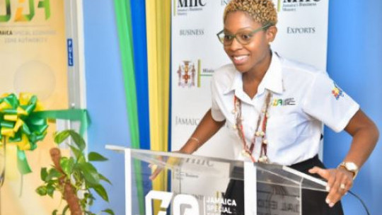 JSEZA Targets Latin American Market | RJR News - Jamaican News Online