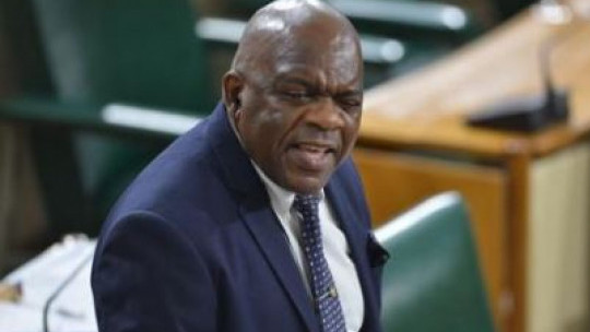 Morris Calls For NHT To Make Restitution To Ruthven Towers Residents ...