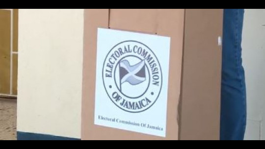 EOJ: Voter Turnout For General Election At 14.8% Up To 11 Am | RJR News ...