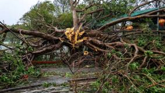 Home | RJR News - Jamaican News Online