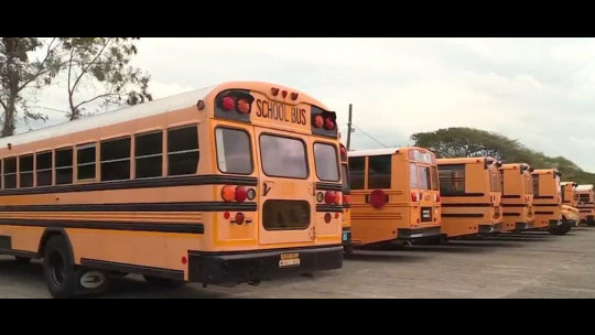 JUTC Developing Special Student Card For Rural School Buses | RJR News ...
