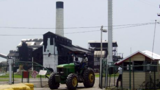 Future Of Long Pond And Monymusk Sugar Factories In Question | RJR News ...
